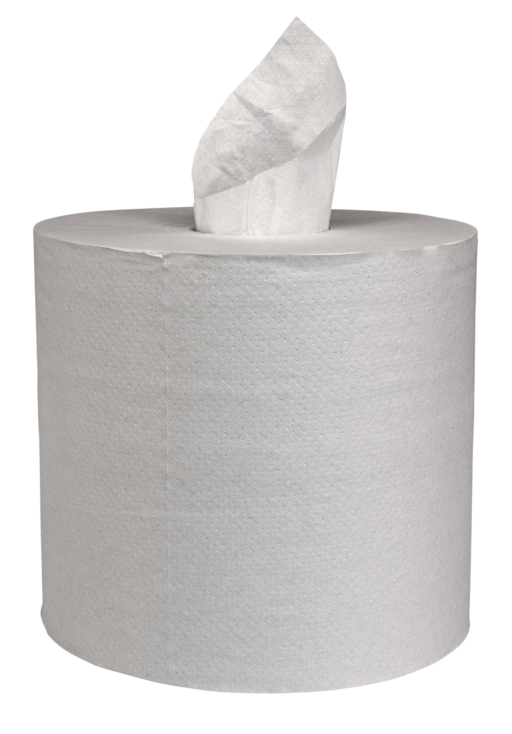 Paper Towels from Marcal Company
